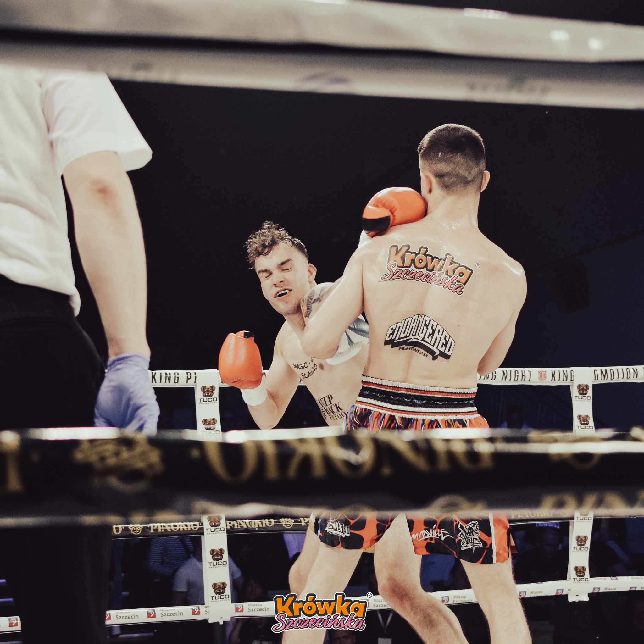 Krówka na King Promotion Boxing Night z Polsatem! - GDM Grupa ...